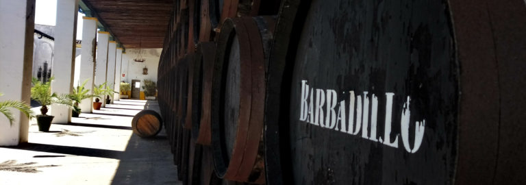 🍷 Visitar BODEGAS BARBADILLO【Sanlúcar de Barrameda】 Vinos & Historia